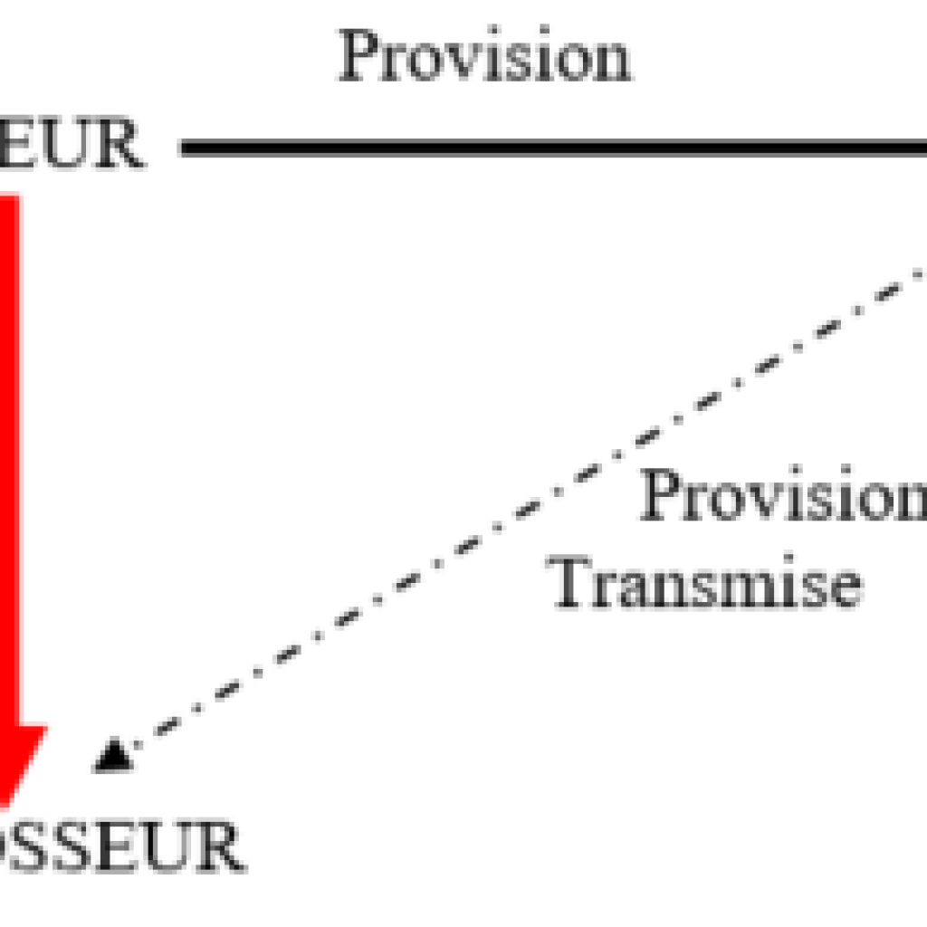 La provision - A. Bamdé & J. Bourdoiseau