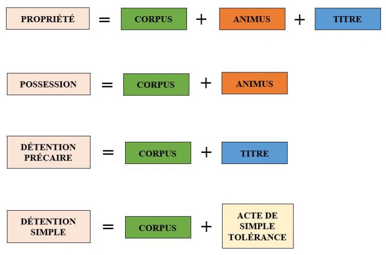 De la distinction entre la possession et la détention précaire - Le ...